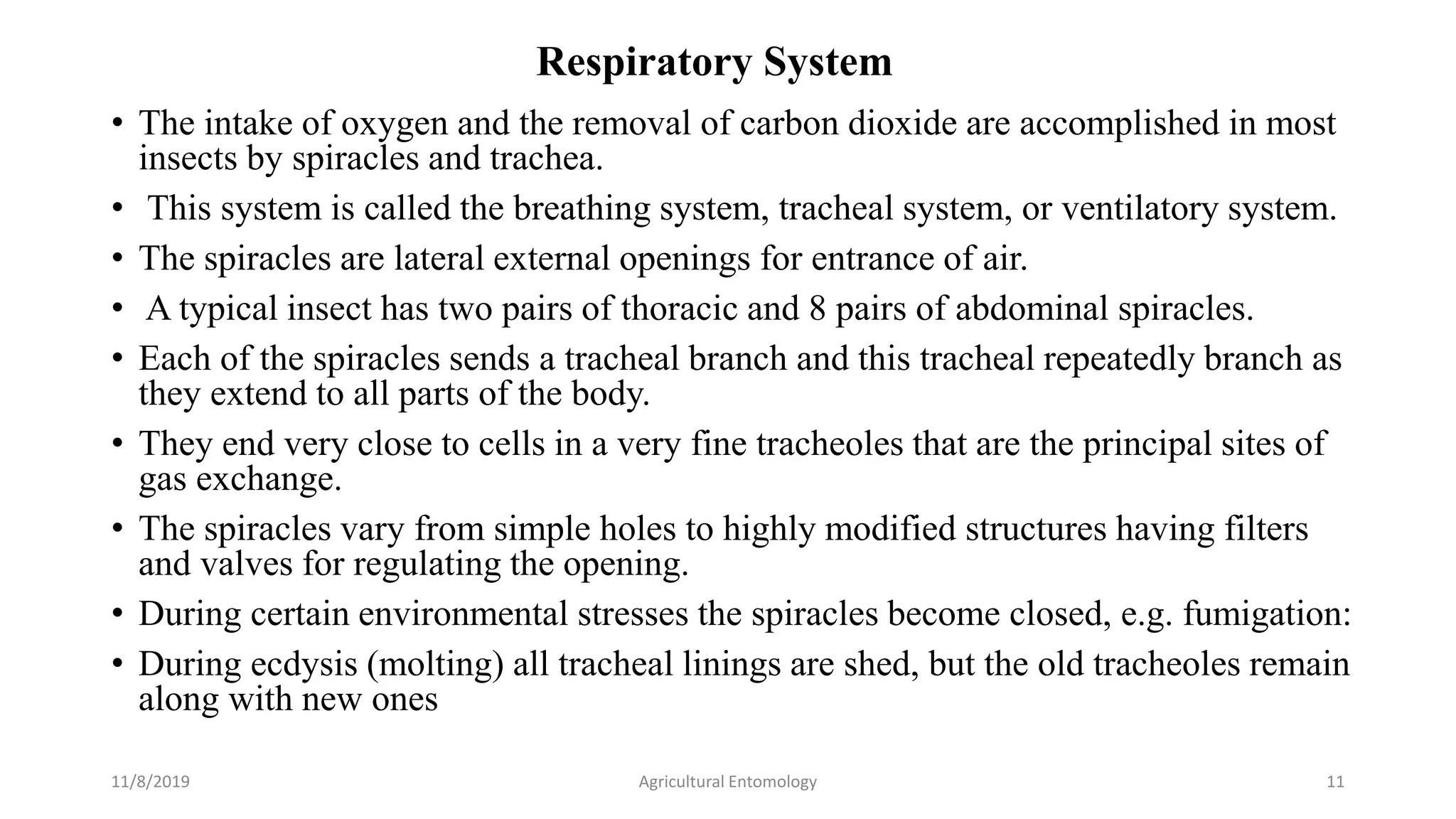 Chapter 4 INTERNAL STRUCTURE AND FUNCTION OF INSECT’S BODY (INSECT ...