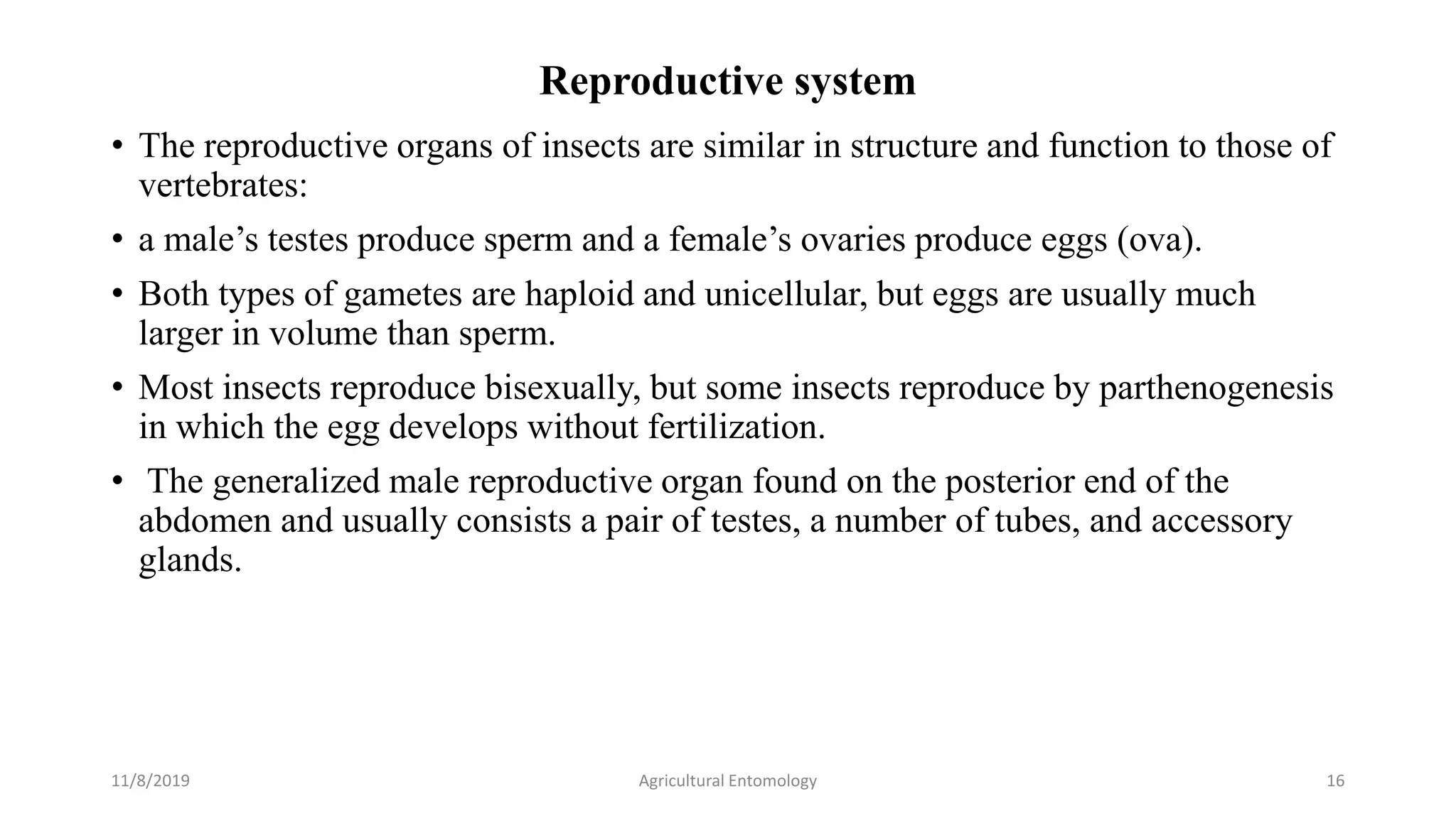 Chapter 4 INTERNAL STRUCTURE AND FUNCTION OF INSECT’S BODY (INSECT ...