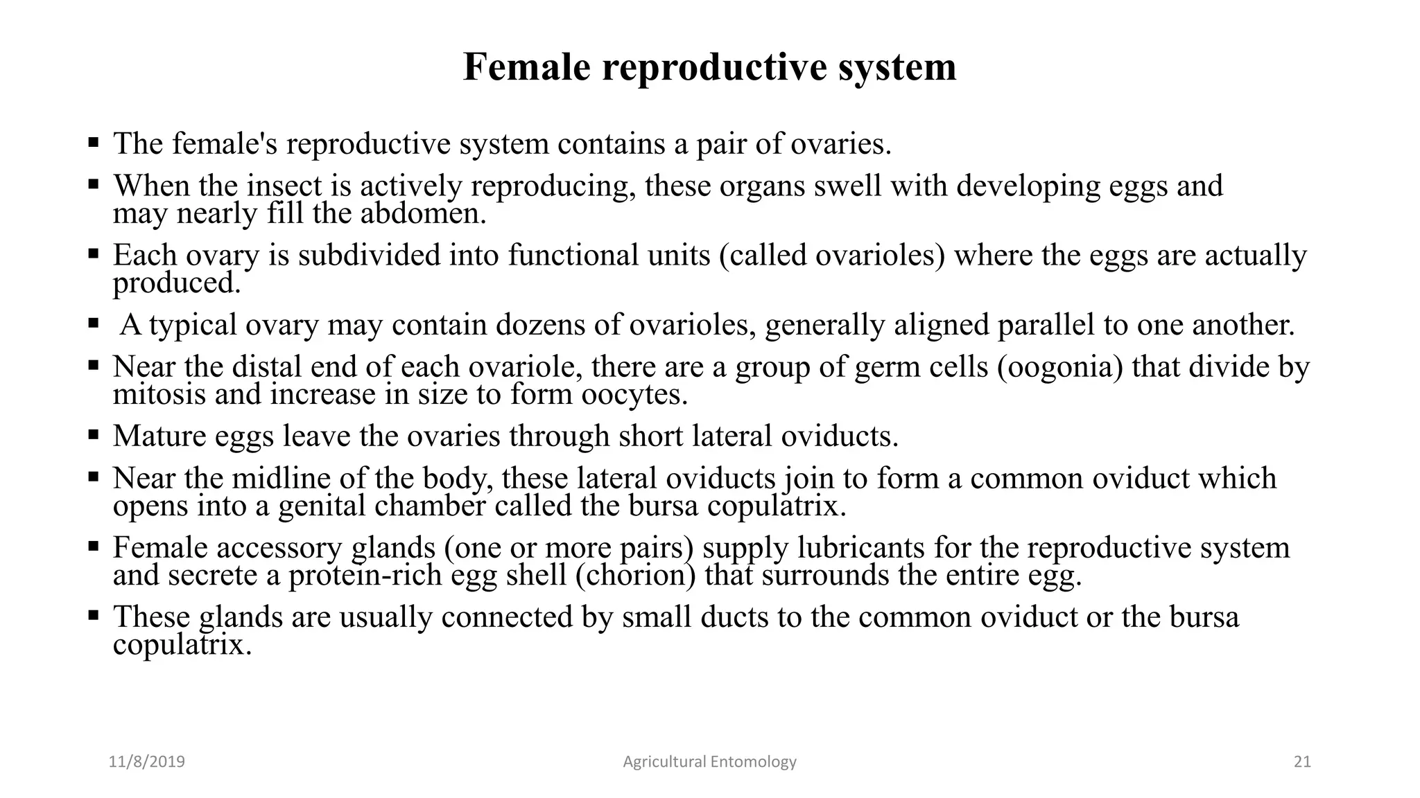 Chapter 4 INTERNAL STRUCTURE AND FUNCTION OF INSECT’S BODY (INSECT ...