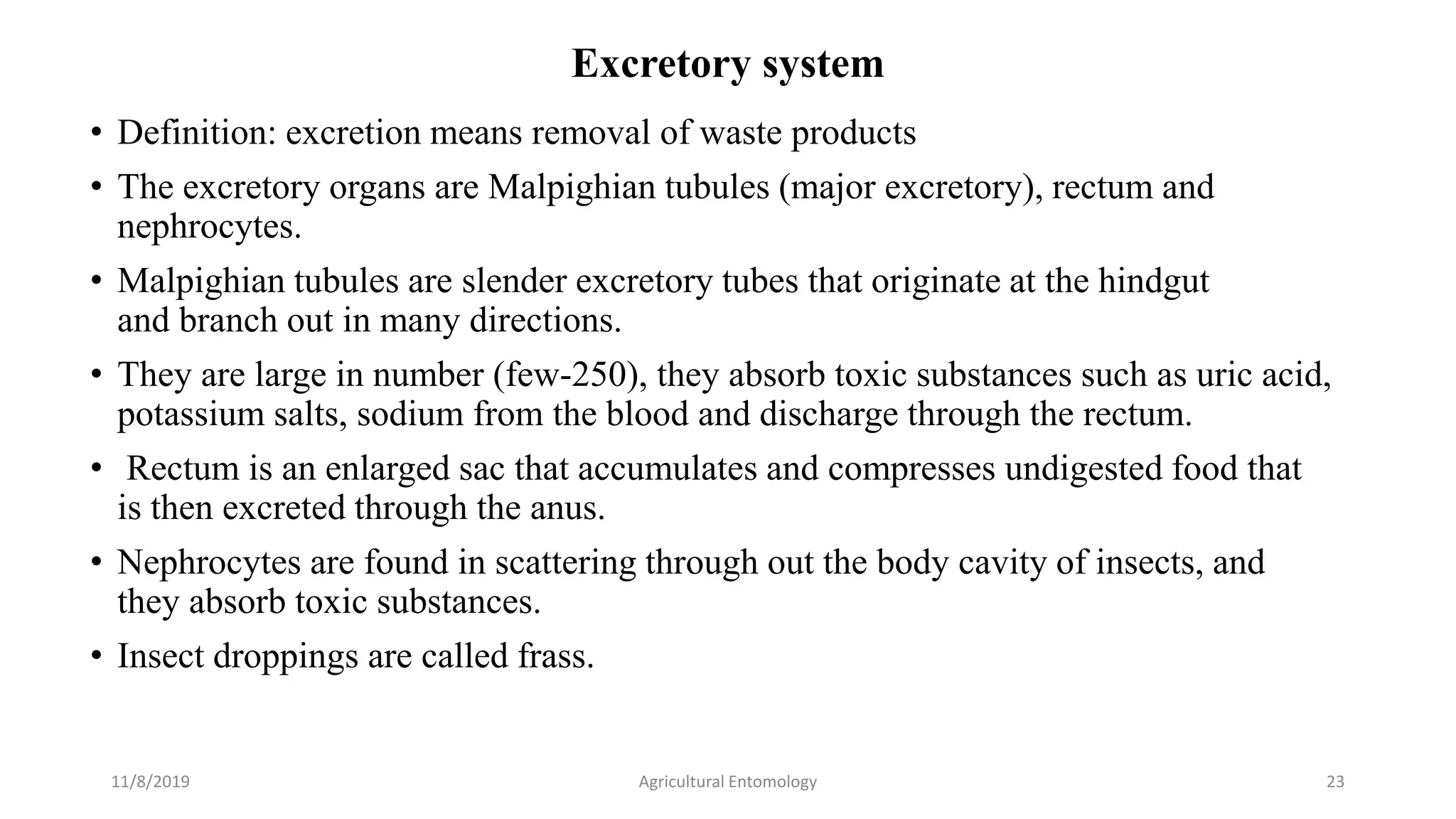 Chapter 4 INTERNAL STRUCTURE AND FUNCTION OF INSECT’S BODY (INSECT ...