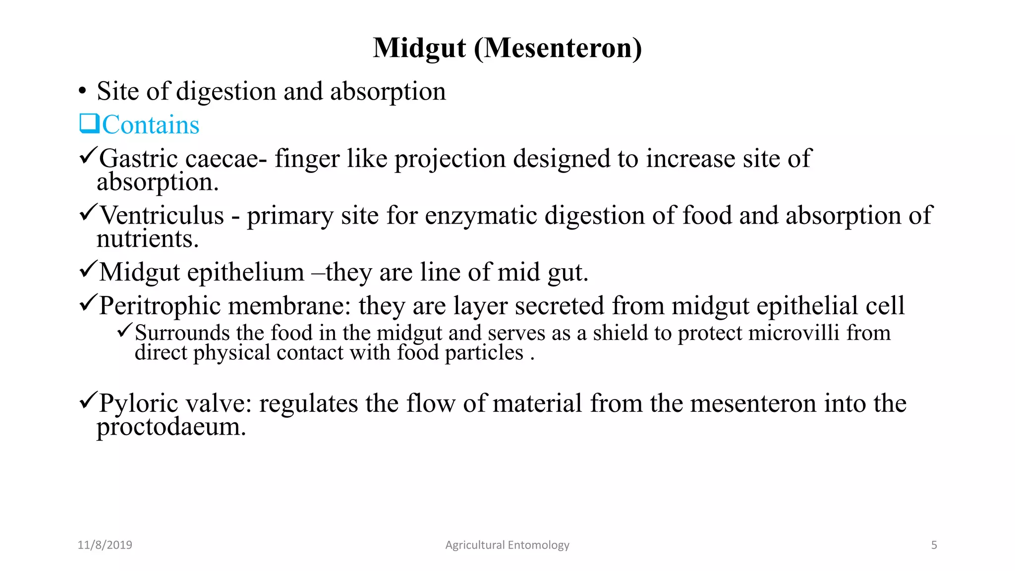 Chapter 4 INTERNAL STRUCTURE AND FUNCTION OF INSECT’S BODY (INSECT ...