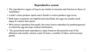 Chapter 4 INTERNAL STRUCTURE AND FUNCTION OF INSECT’S BODY (INSECT ...