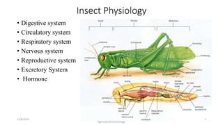 INSECT PHYSIOLOGY SYSTEMS | PPT