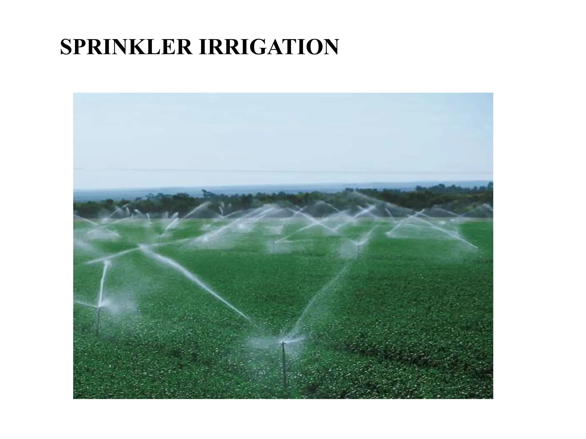chapter 4-2-advanteges and disadvantages of sprincler Irrigations' | PPT