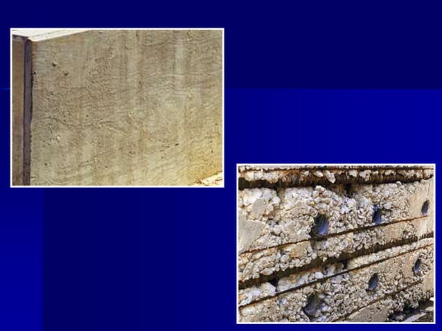 Properties of fresh and Hardened Concrete | PPT | Civil Engineering ...