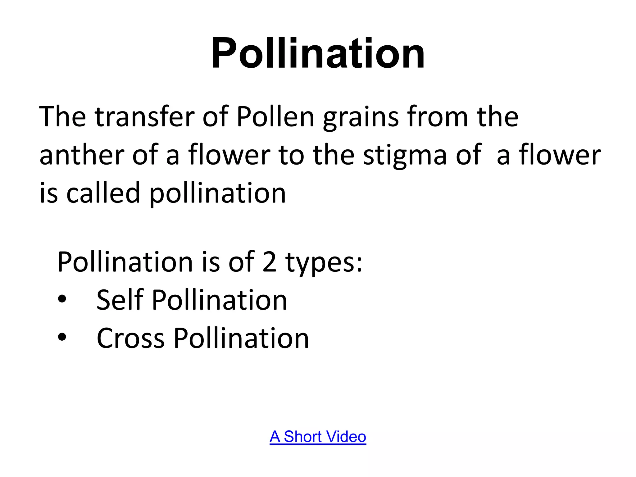 Chapter 4. pollination | PPTX