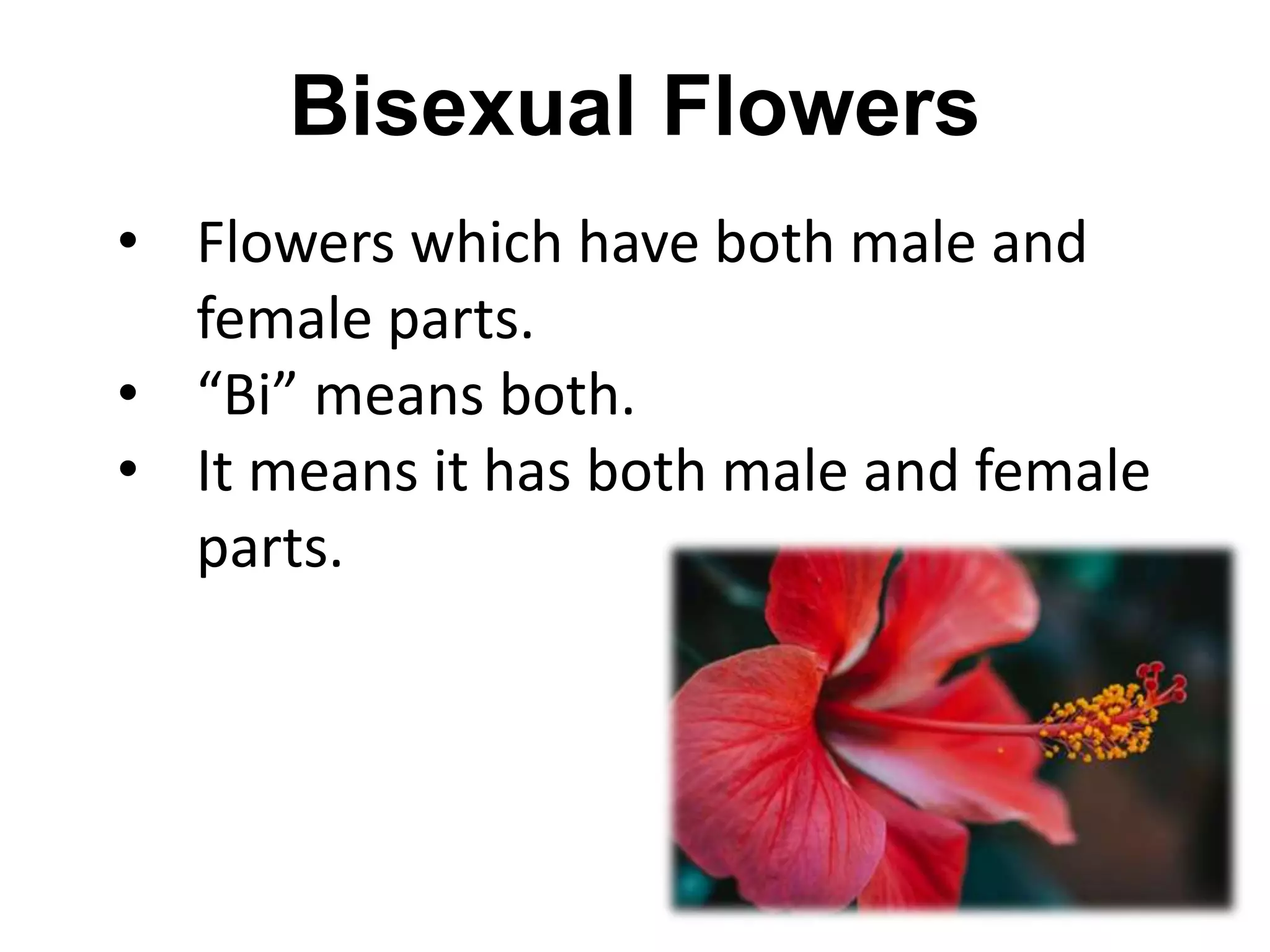 Chapter 4. pollination | PPTX