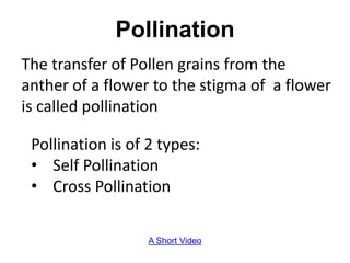 Chapter 4. pollination | PPTX