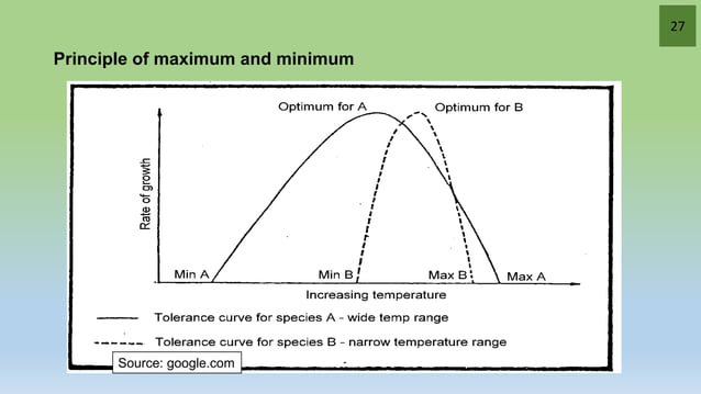 TES# Chapter 4 | PPTX