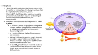 Chapter 4.1 basic principles of chemotherapy | PPT