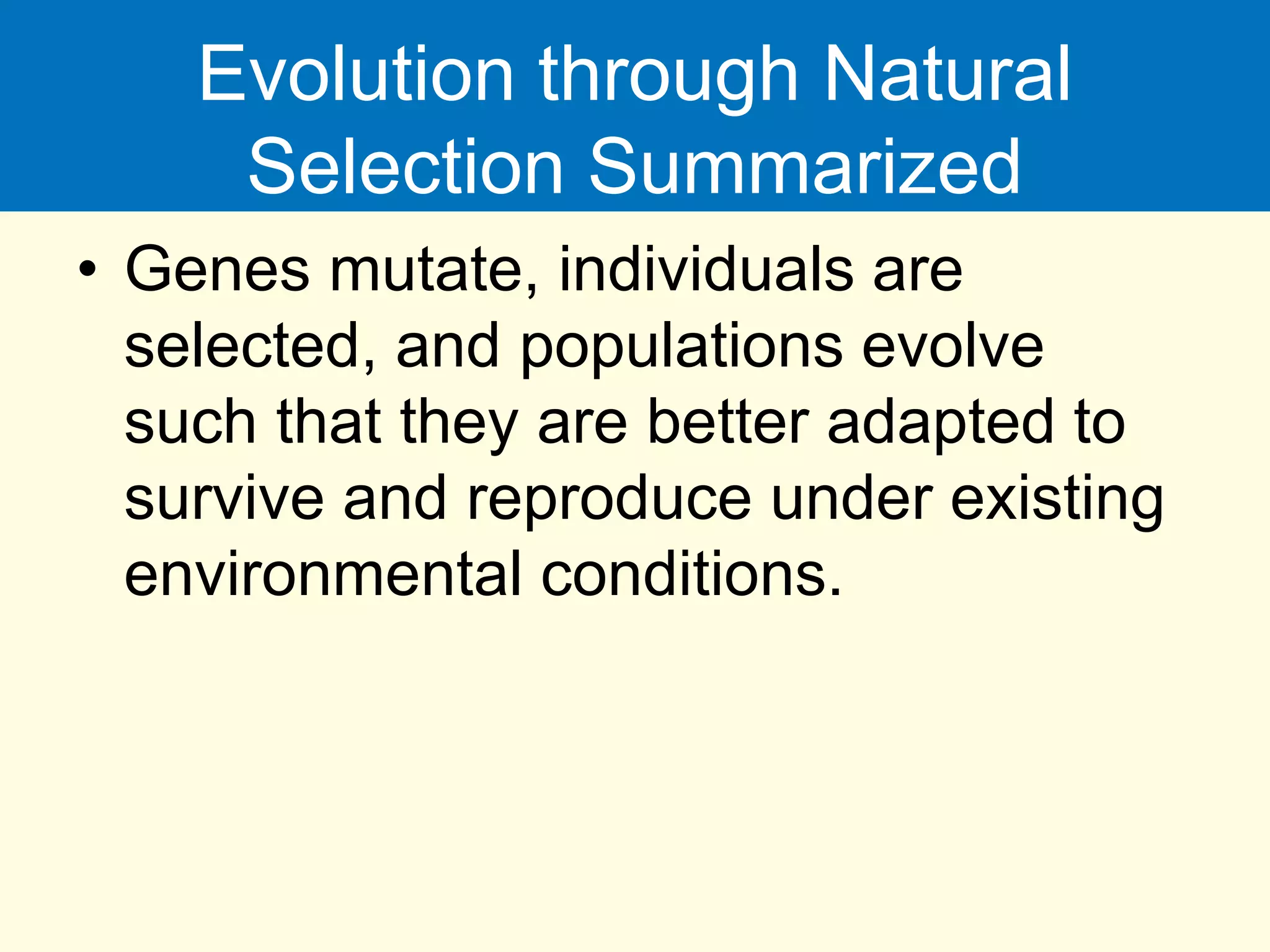 Biodiversity and evolution | PPT