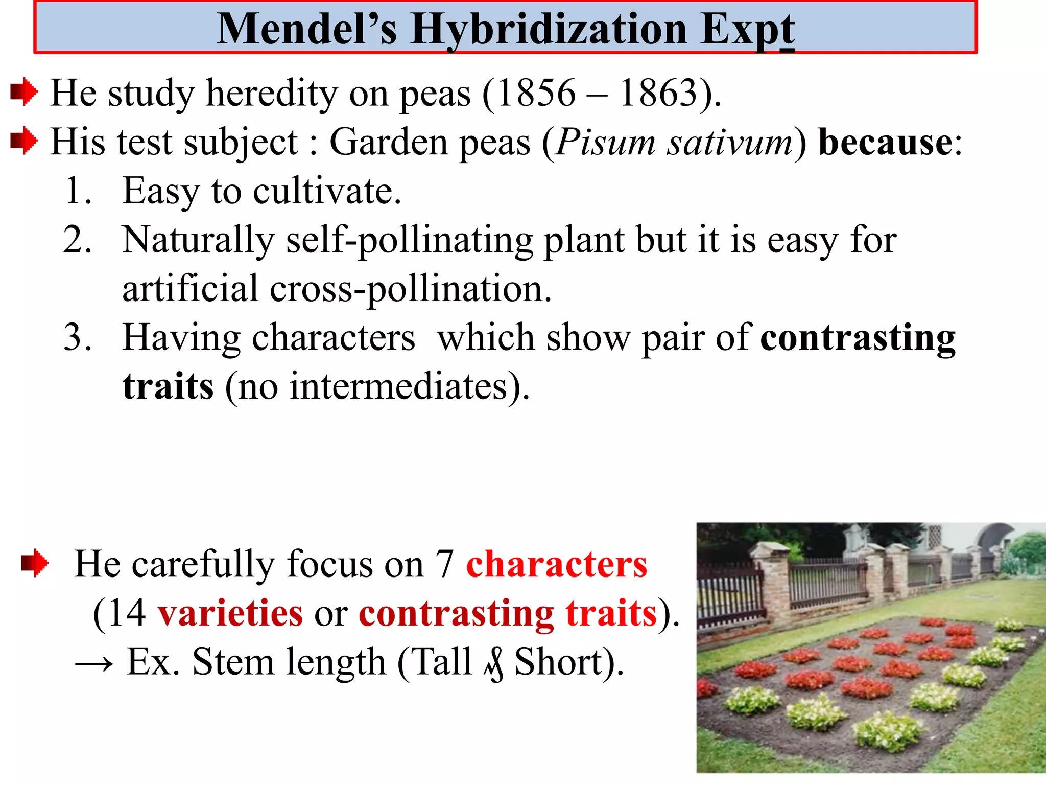 Chapter 4. Genetics and Evolution.pptx
