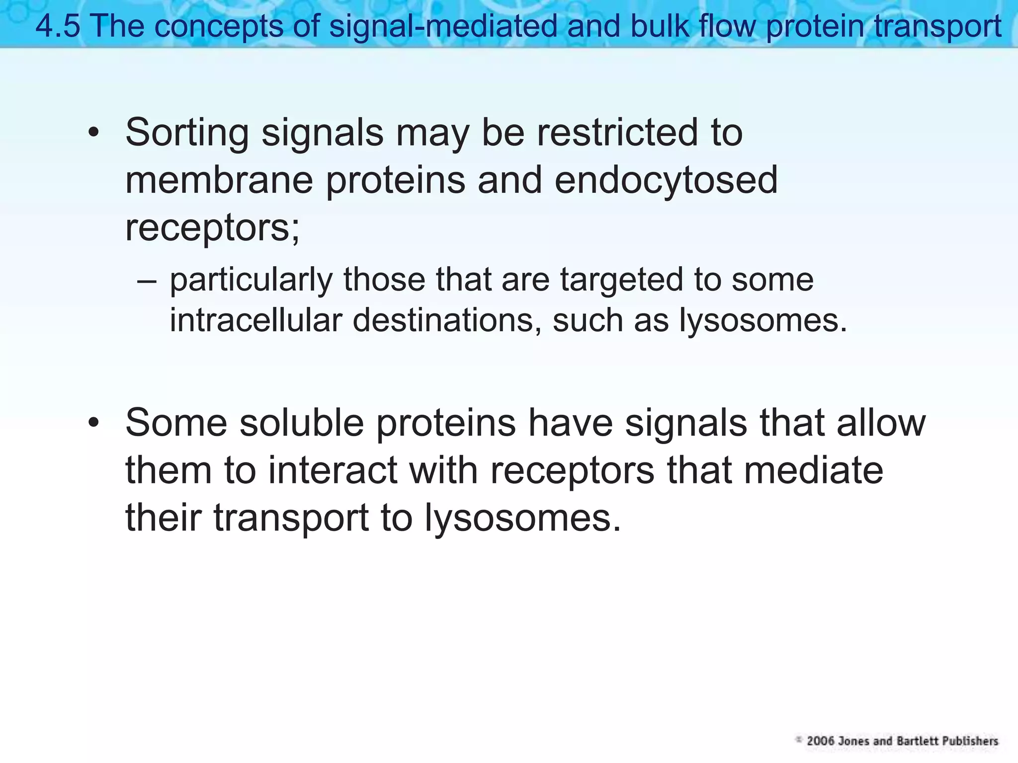 Chapter4.ppt | Biological Sciences | Science