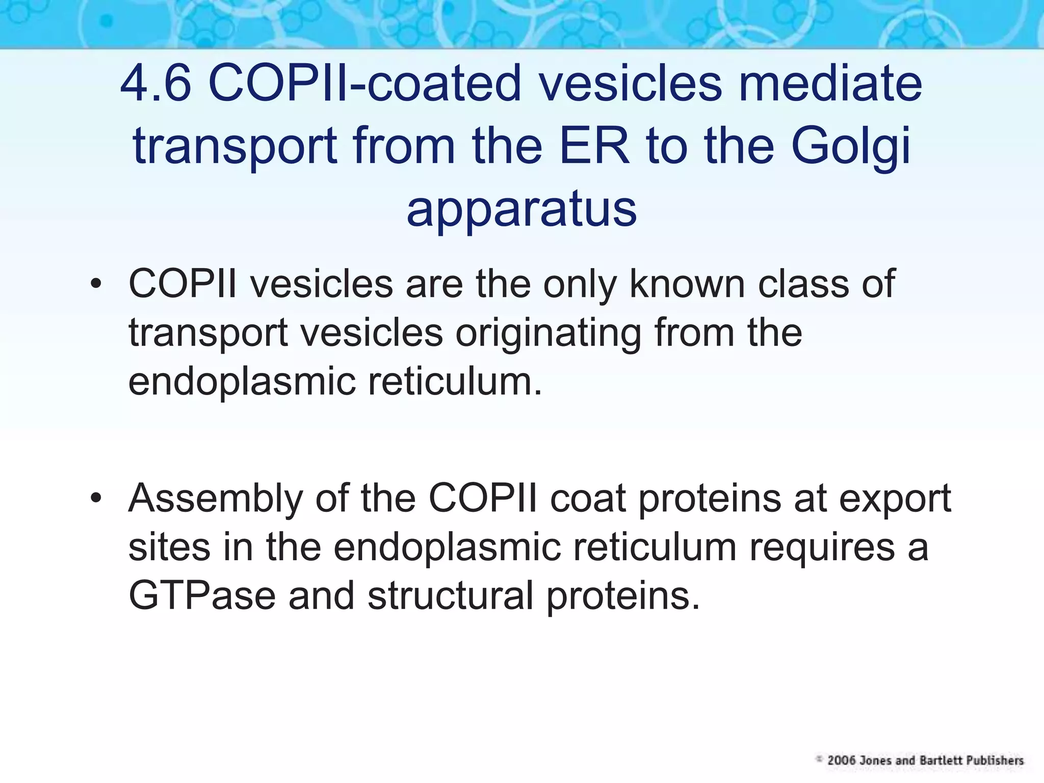 Chapter4.ppt | Biological Sciences | Science