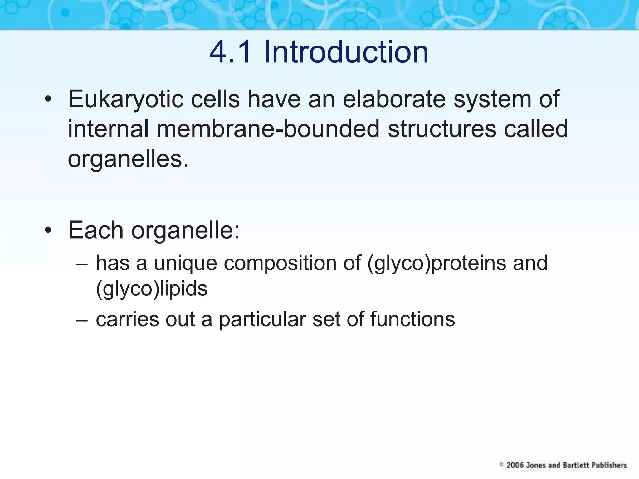Chapter4.ppt | Biological Sciences | Science