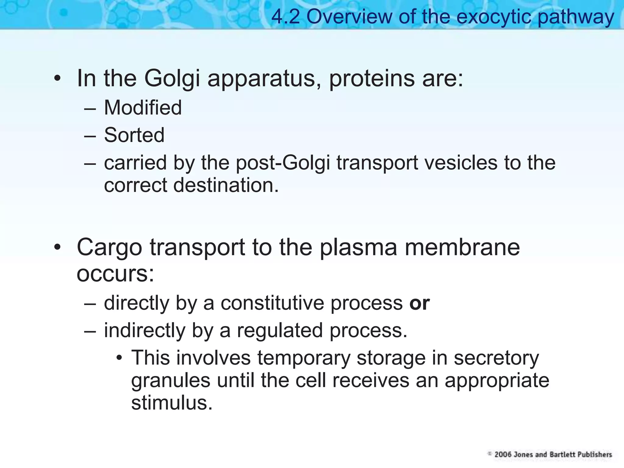 Chapter4.ppt | Biological Sciences | Science