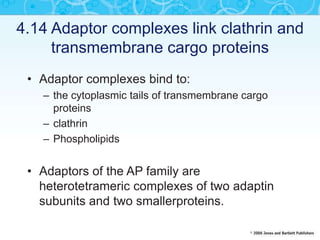 Chapter4.ppt
