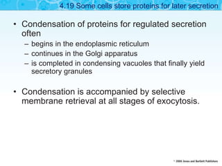 Chapter4.ppt