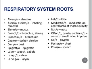 the body part 3 pptx | PPT