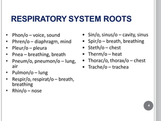 the body part 3 pptx | PPT