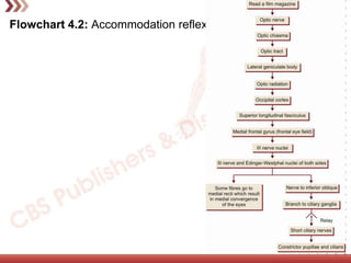 Chapter 4.ppt