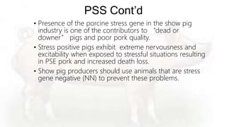 Swine Health Management- Learn how to manage the health of your pigs | PPTX