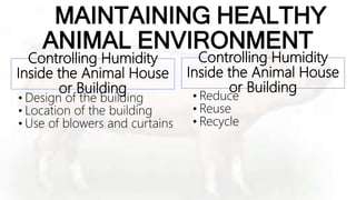 Swine Health Management- Learn how to manage the health of your pigs | PPTX