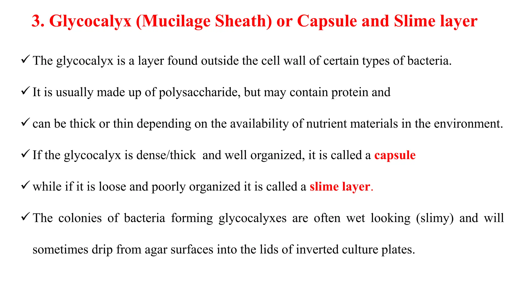 chapter 4.bicterial structure and functionpptx | PPTX