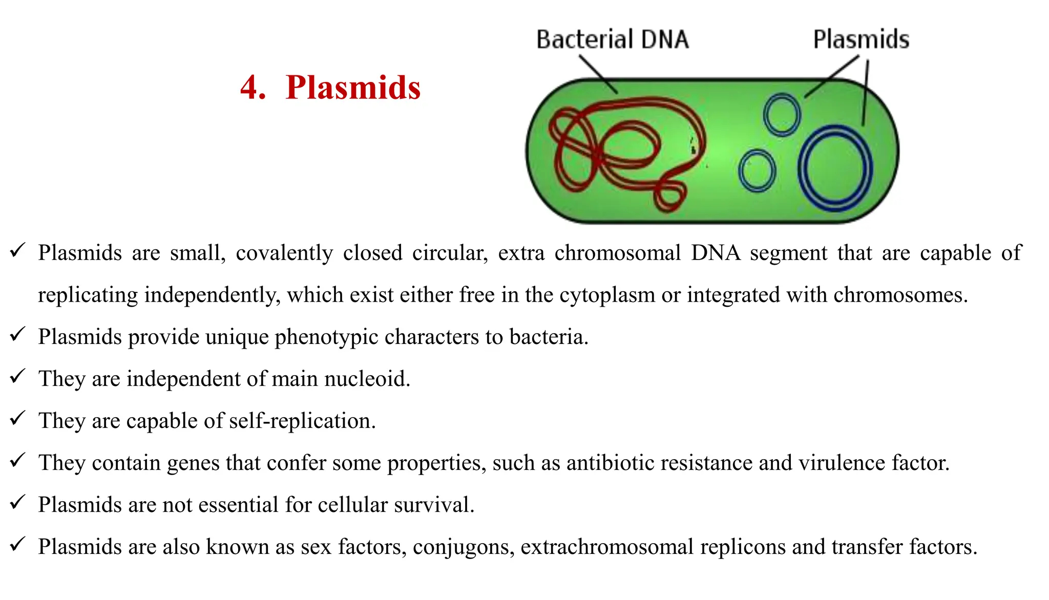 chapter 4.bicterial structure and functionpptx | PPT