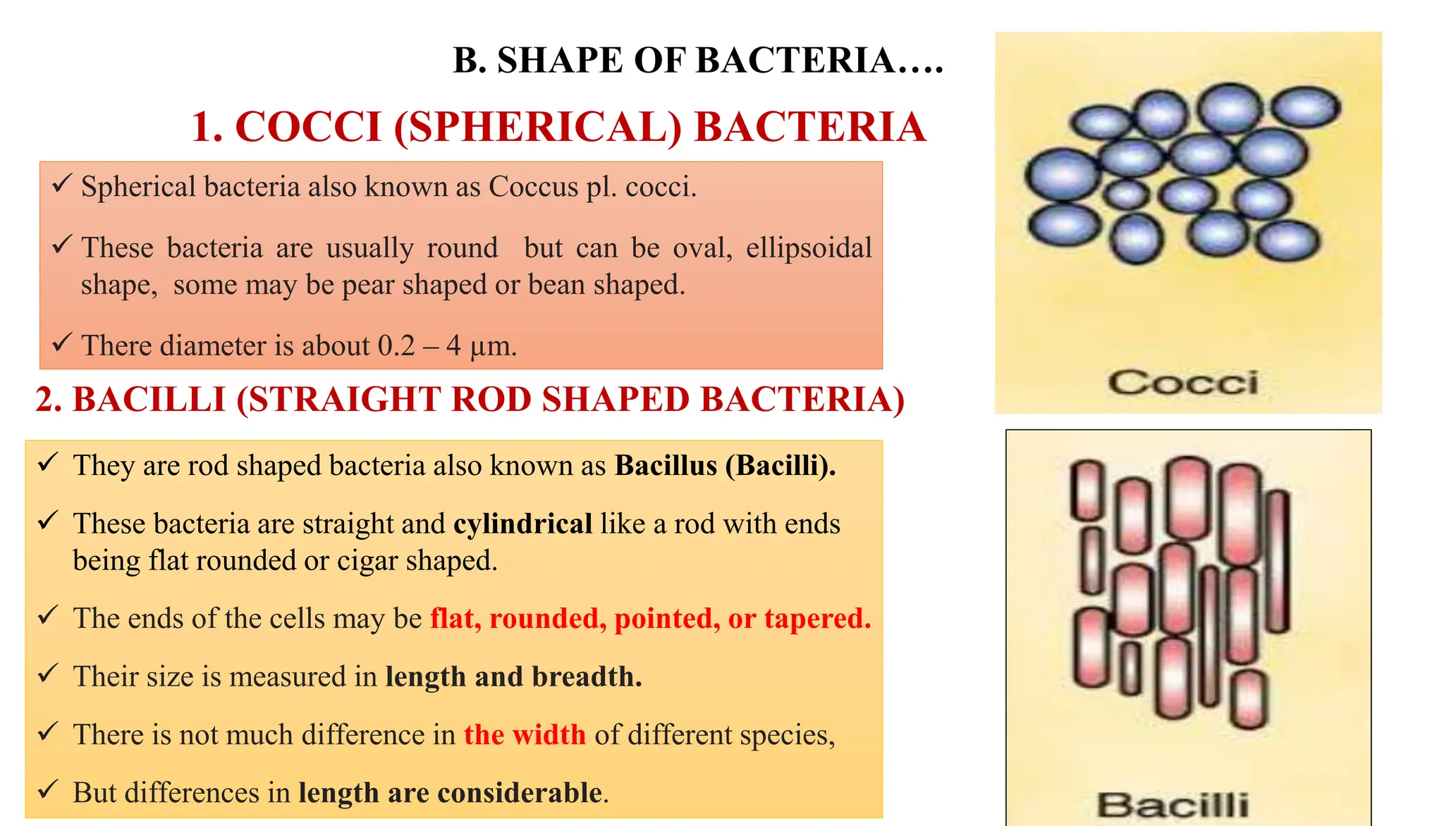 chapter 4.bicterial structure and functionpptx | PPTX