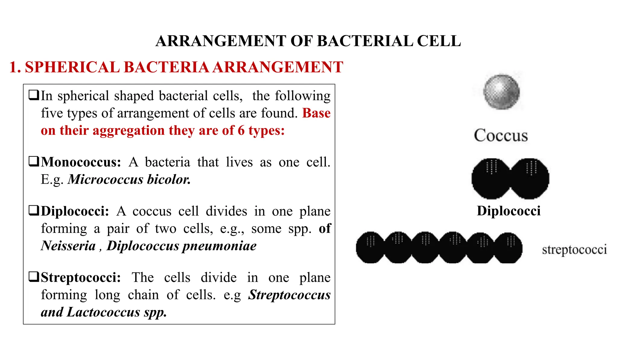 chapter 4.bicterial structure and functionpptx | PPTX