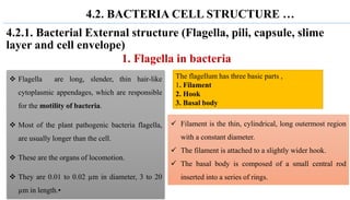 chapter 4.bicterial structure and functionpptx | PPTX