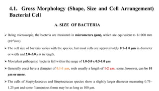 chapter 4.bicterial structure and functionpptx | PPTX