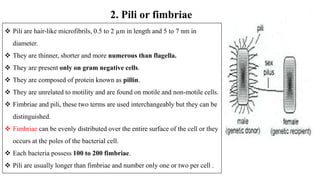 chapter 4.bicterial structure and functionpptx | PPTX