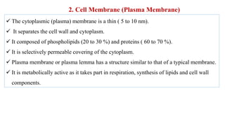 chapter 4.bicterial structure and functionpptx | PPTX