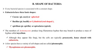 chapter 4.bicterial structure and functionpptx | PPT