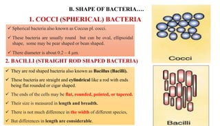 chapter 4.bicterial structure and functionpptx | PPT
