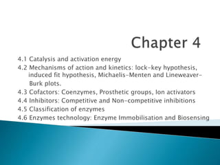 Chapter 4.pptx enzyme stpm biology aaaaa | PPTX