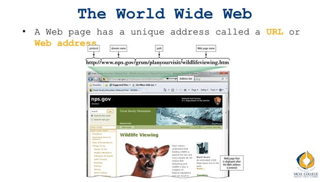 Chapter 4 Fundamentals of Internet and WWW.pptx | Computer Networking ...