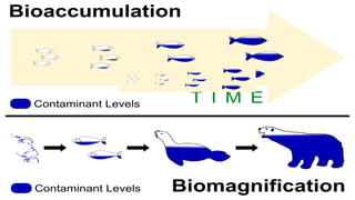 Chapter 4. Ecosystem.................pdf