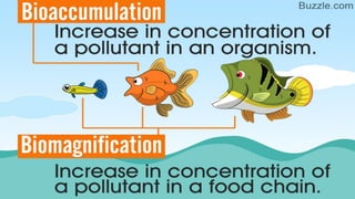 Chapter 4. Ecosystem.................pdf