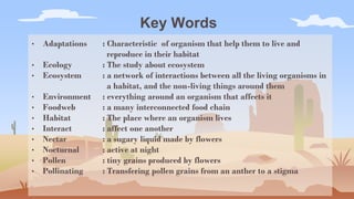 Chapter 4. Ecosystem.................pdf