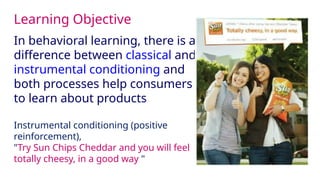 Chapter 4 Learning and Memory CB Michael Solomon | PPTX