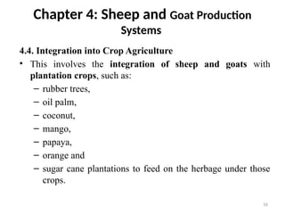 Chapter 4. Sheep and goat production system (1).pptx
