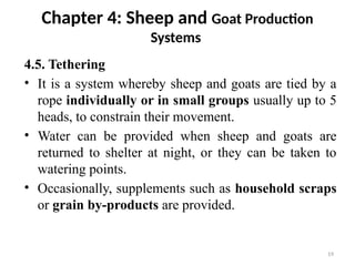 Chapter 4. Sheep and goat production system (1).pptx