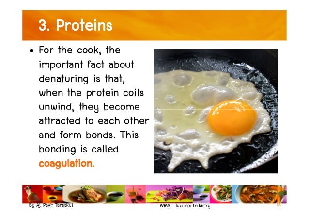 Chapter 4 : Basic cooking principle & food science