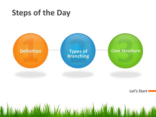 Algorithm And Programming Branching Structure Ppt 9691