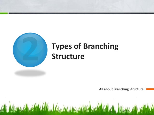 Algorithm and Programming (Branching Structure) | PPT