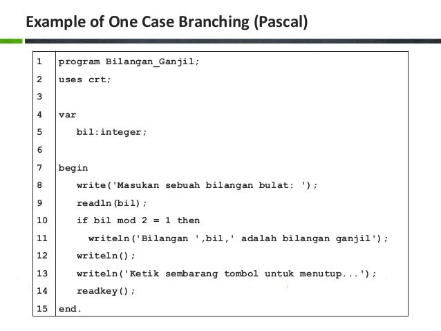 Algorithm And Programming Branching Structure