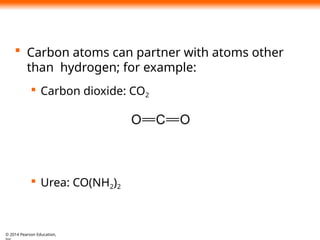chapter 4 Carbon and the Molecular Diversity of Life.pptx